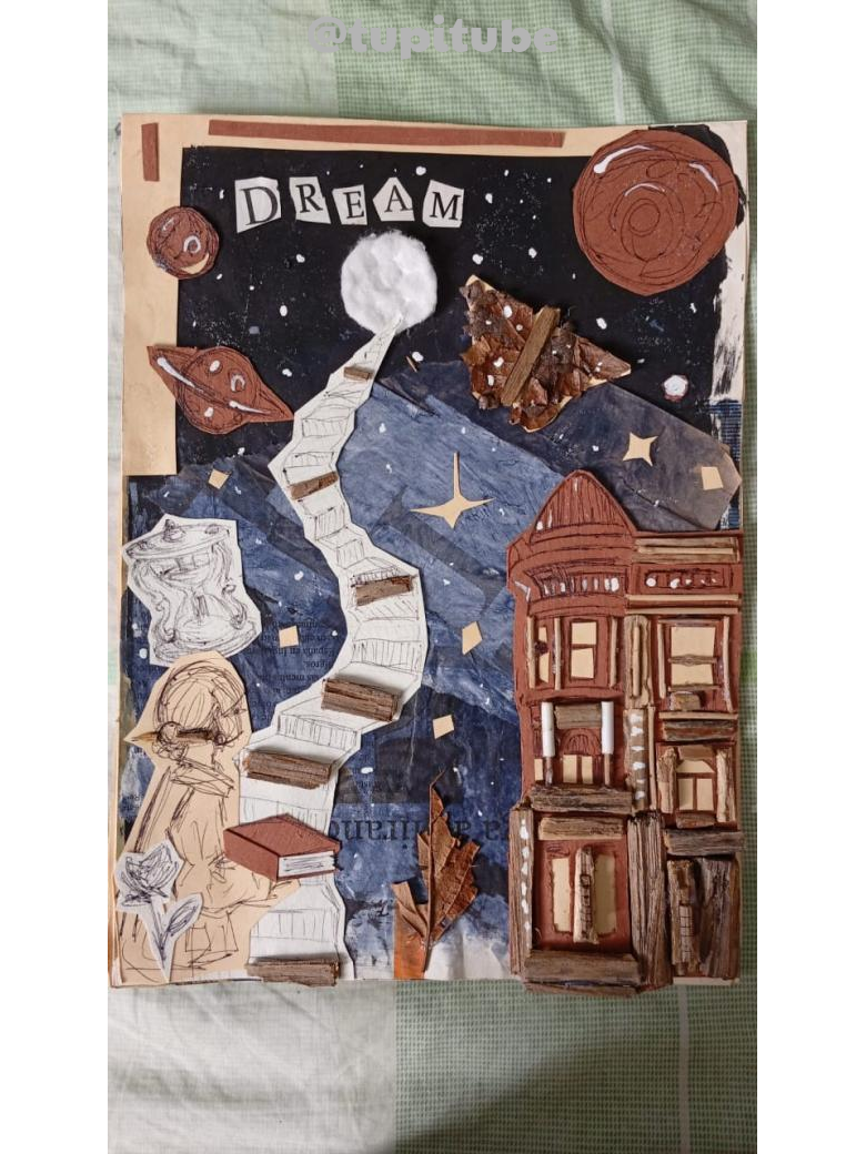 Dashboard - TupiTube