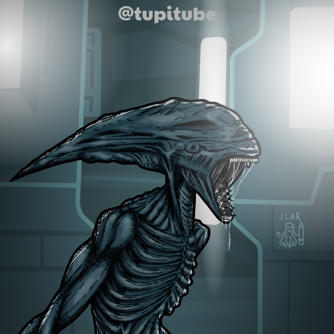 Dashboard - TupiTube